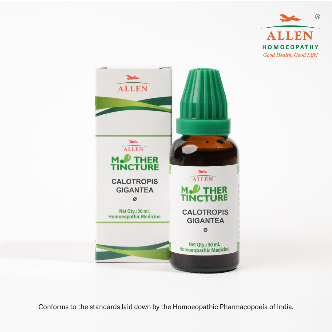 CALOTROPIS GIGANTEA Q – My Store