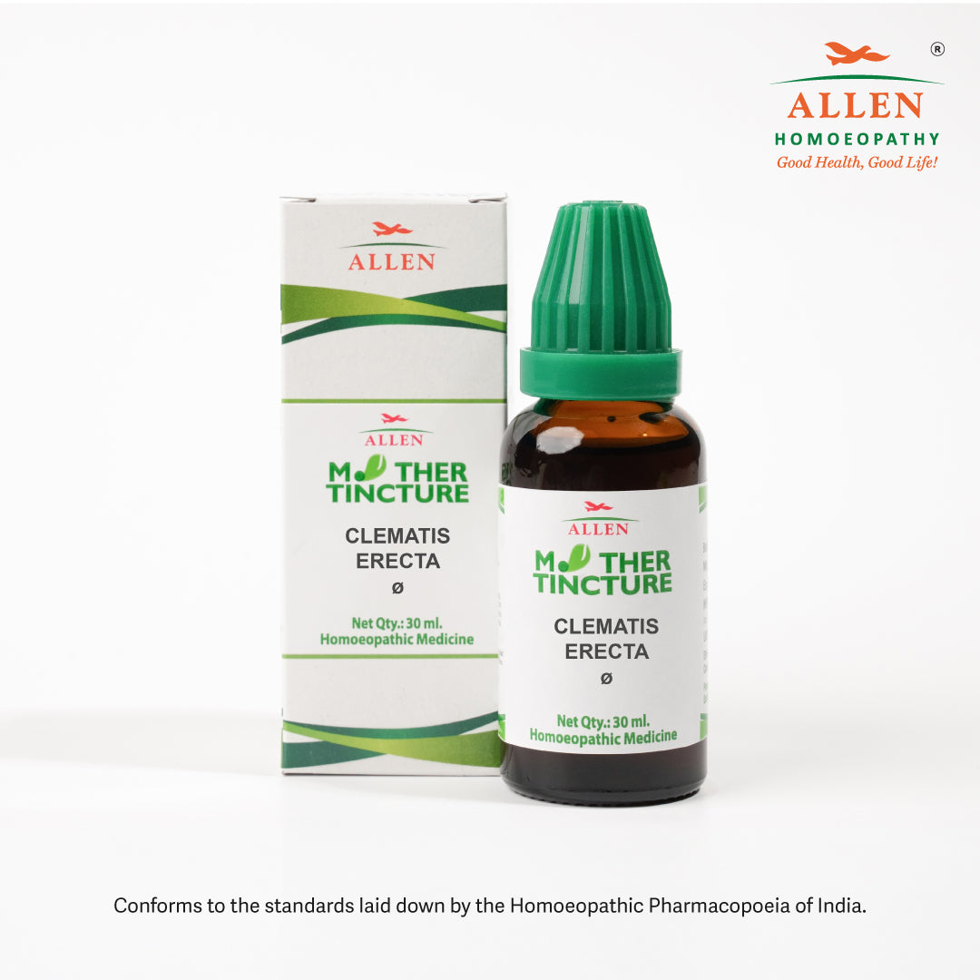 CLEMATIS ERECTA Q – My Store